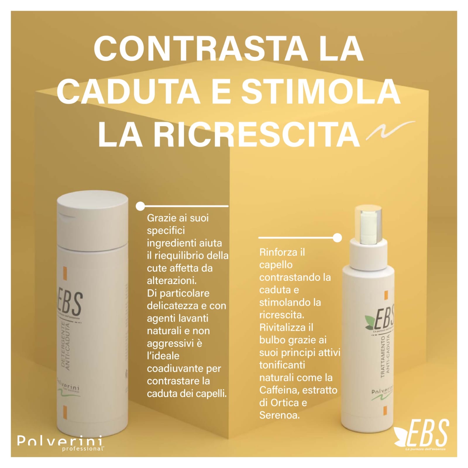 Pacchetto Anti Caduta - Polverini Diffusion